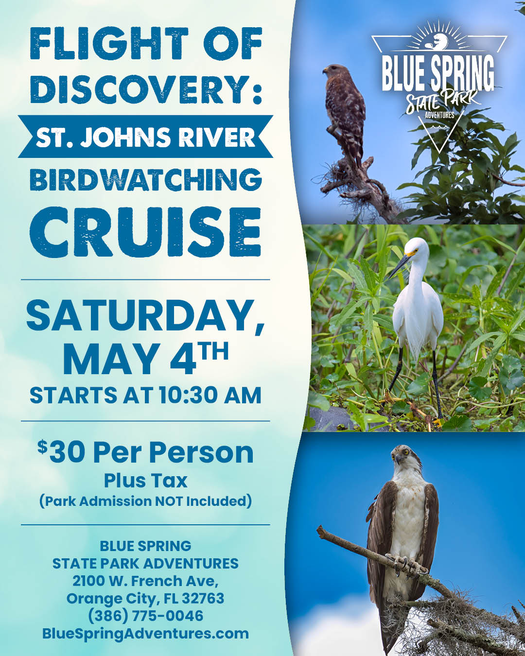 Flight of Discovery: St. Johns River Birdwatching Cruise | Blue Spring ...