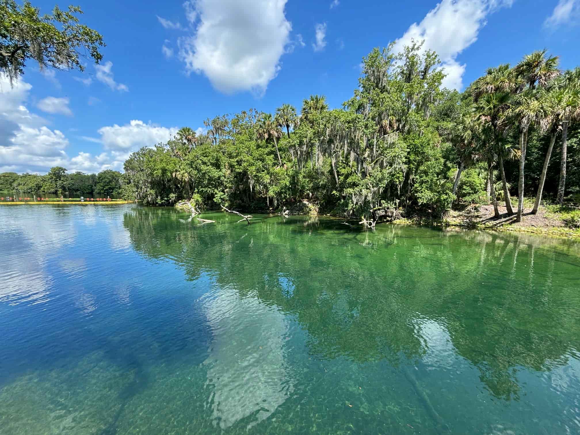 Celebrating Earth Day at Blue Spring State Park | Blue Spring Adventures
