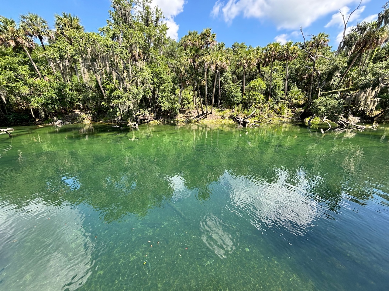 The Secret to Beating the Crowds at Blue Spring This Summer: Paddle ...