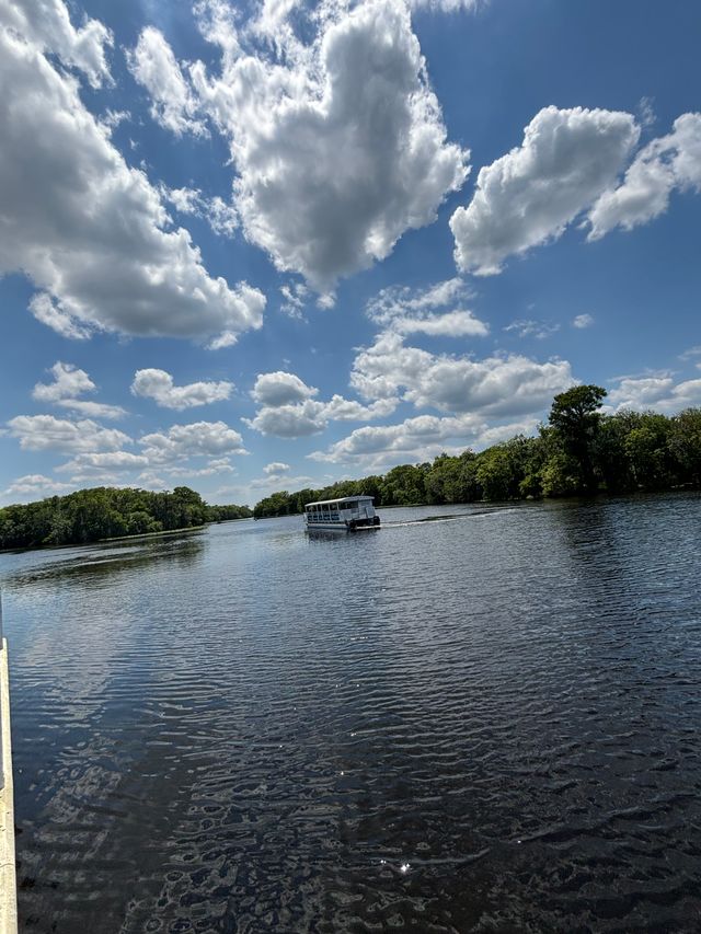 Why Blue Spring Is the Perfect Peaceful Escape This Winter | Blue ...