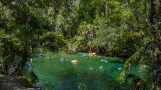 Blue Spring State Park | Blue Spring Adventures