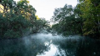 Blue Spring State Park | Blue Spring Adventures