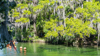 Blue Spring State Park | Blue Spring Adventures