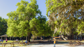 Blue Spring State Park | Blue Spring Adventures